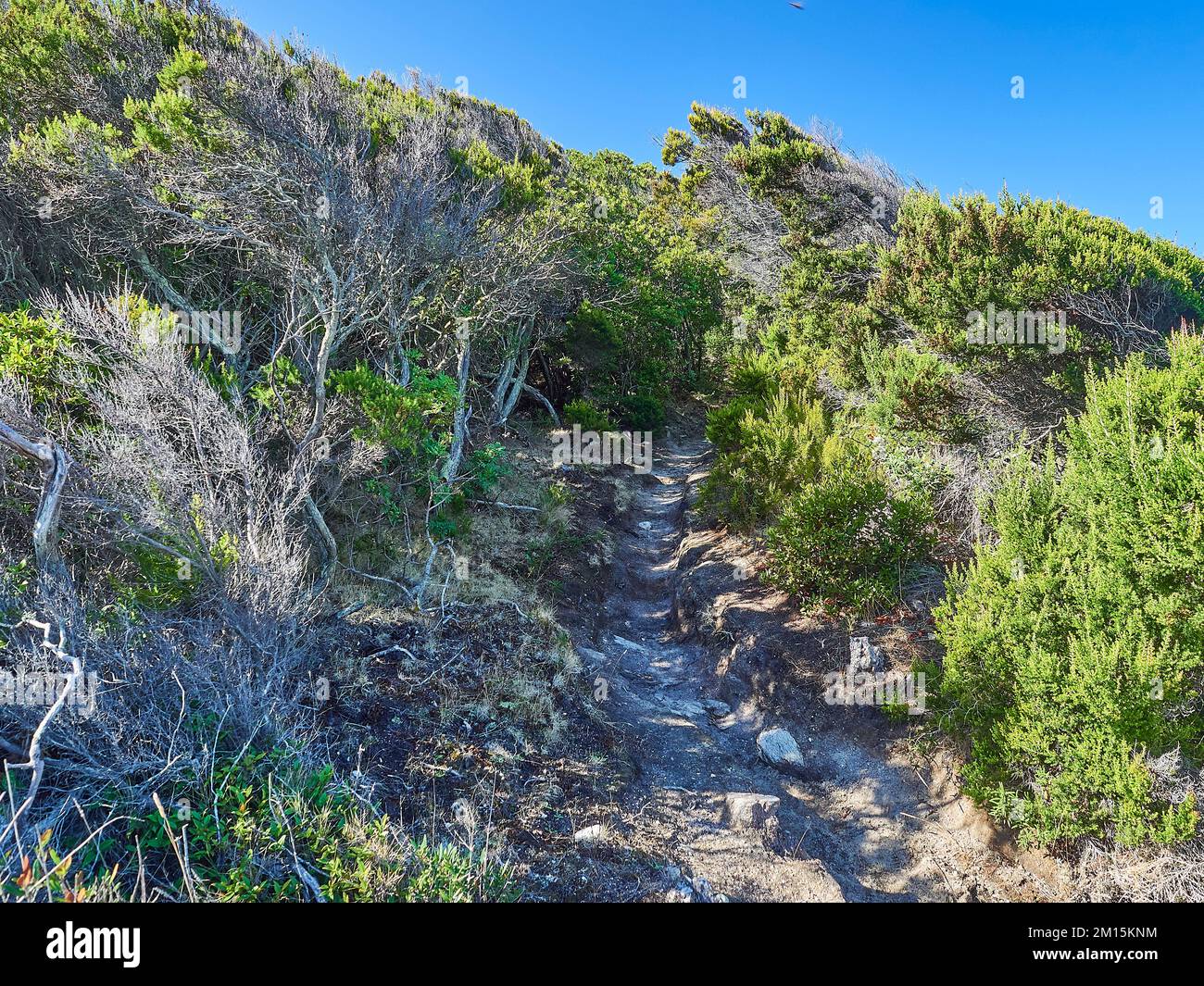 hidden hiking trail at Plage de Saleccia, a hidden cove on with white ...