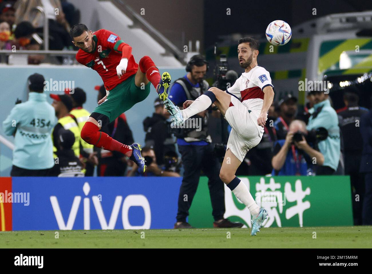 Atlasleeuwen hi-res stock photography and images - Alamy