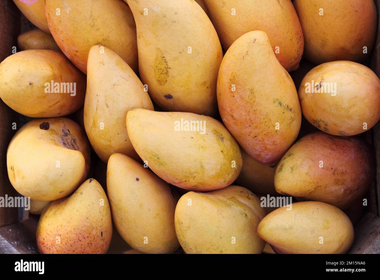 Mangos mexico hi-res stock photography and images - Alamy