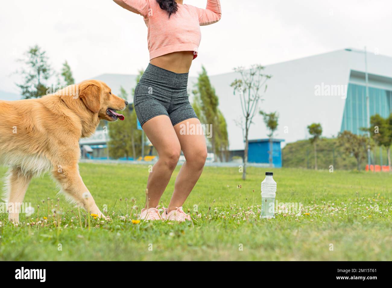 Crop fit female in activewear doing exercises on green grass during ...