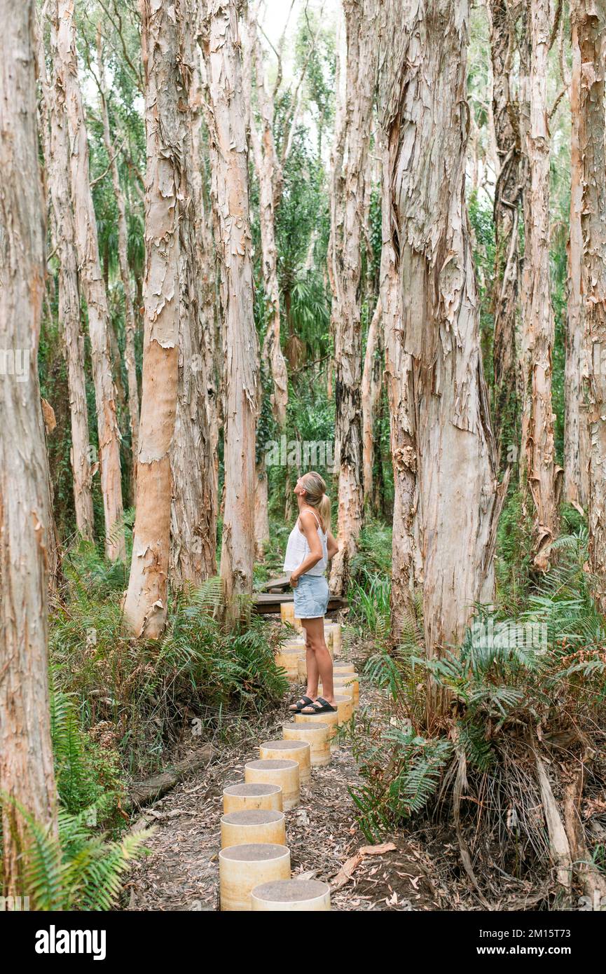 Woman in shorts and top standing on barrels during walk in paperbark ...