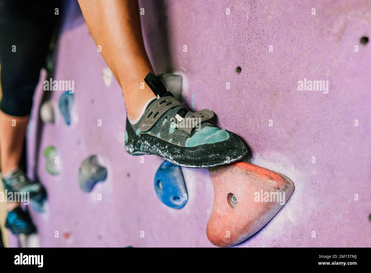 Anonymous female athlete in climbing shoes stepping on grip while ...
