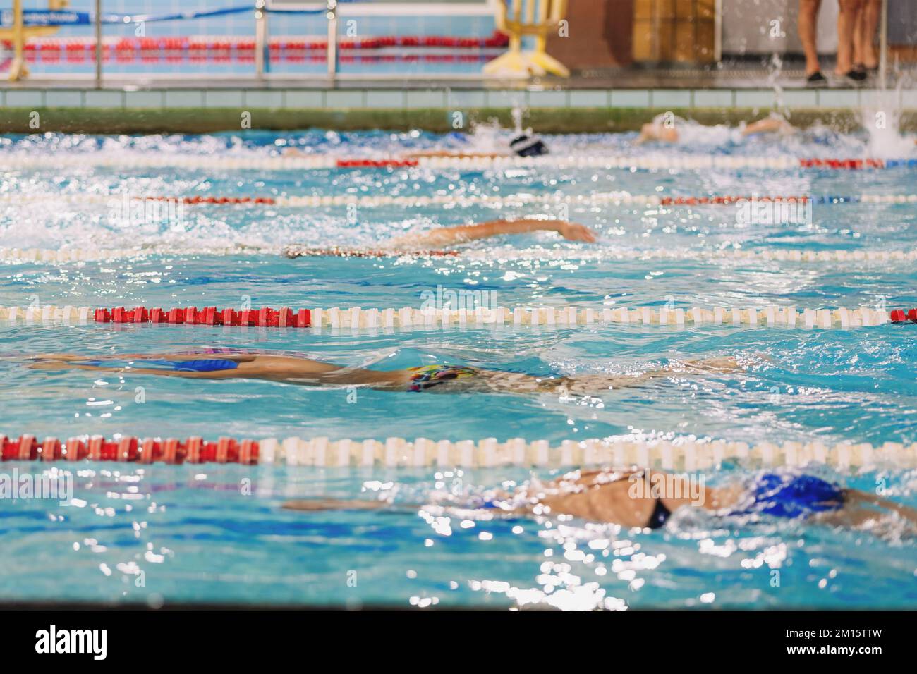 Anonymous sportspeople swimming in clean water during sport competition ...