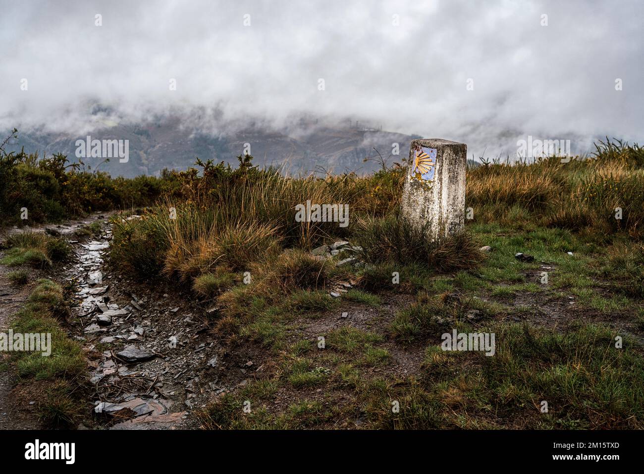 Weathered signpost with seashell symbol installed near narrow stone ...
