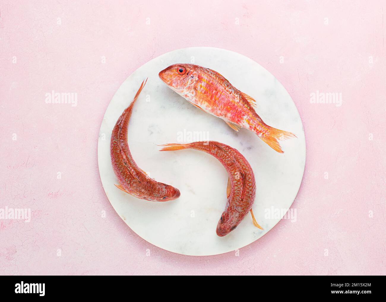 Top view of raw fishes in plate on pink background Stock Photo - Alamy