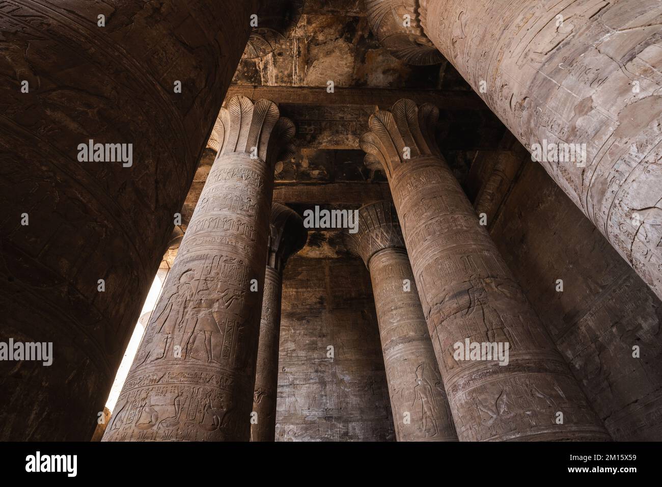 From below of tall columns and ceiling with inscriptions and reliefs of ...