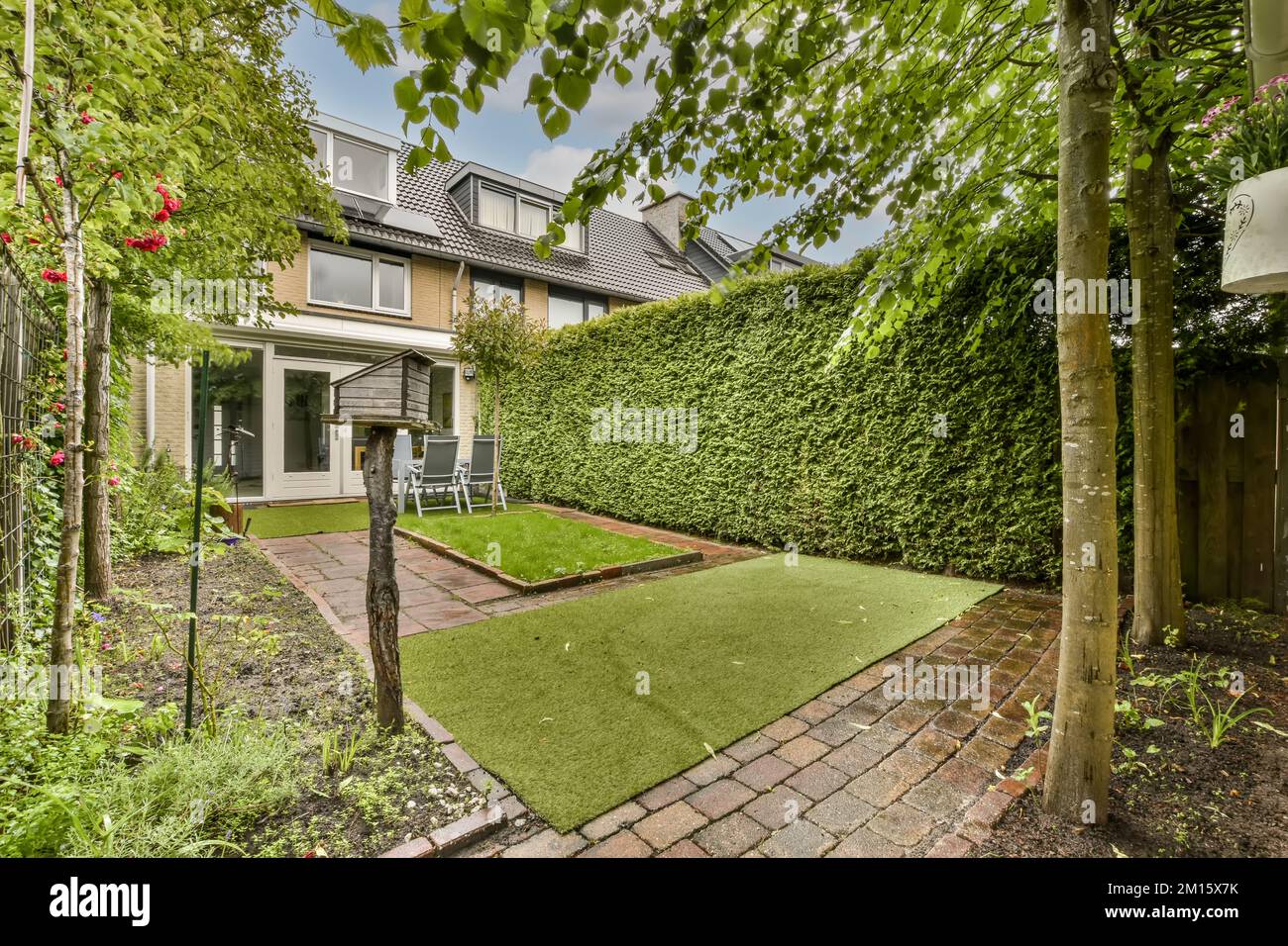 Backyard of a house with trees and green plants next to other houses ...