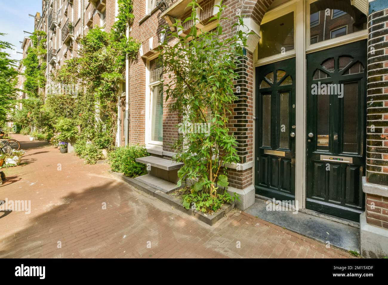 Side view of some green entrance doors to a house Stock Photo - Alamy