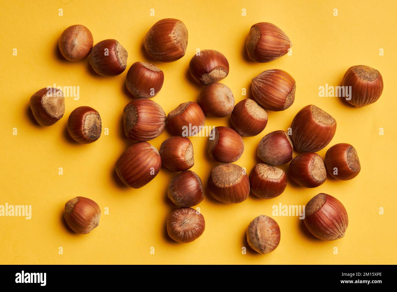 Top view of many whole hazelnuts in shells scattered on bright yellow ...