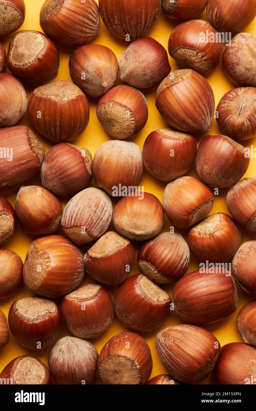 Top view of many whole hazelnuts in shells scattered on bright yellow ...