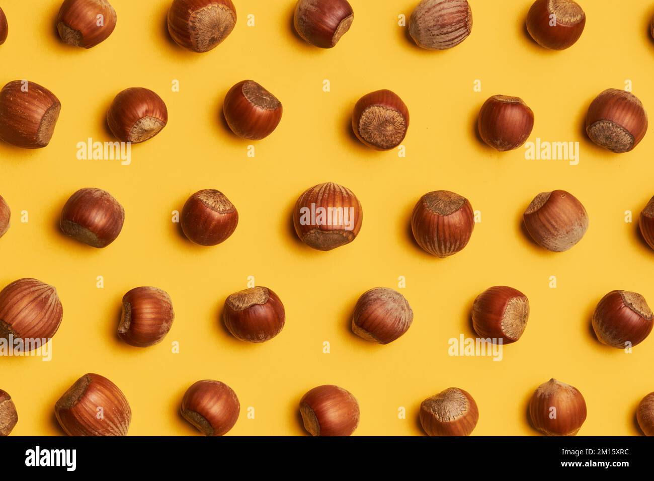 Top view of natural hazelnuts in shells arranged in lines on yellow ...