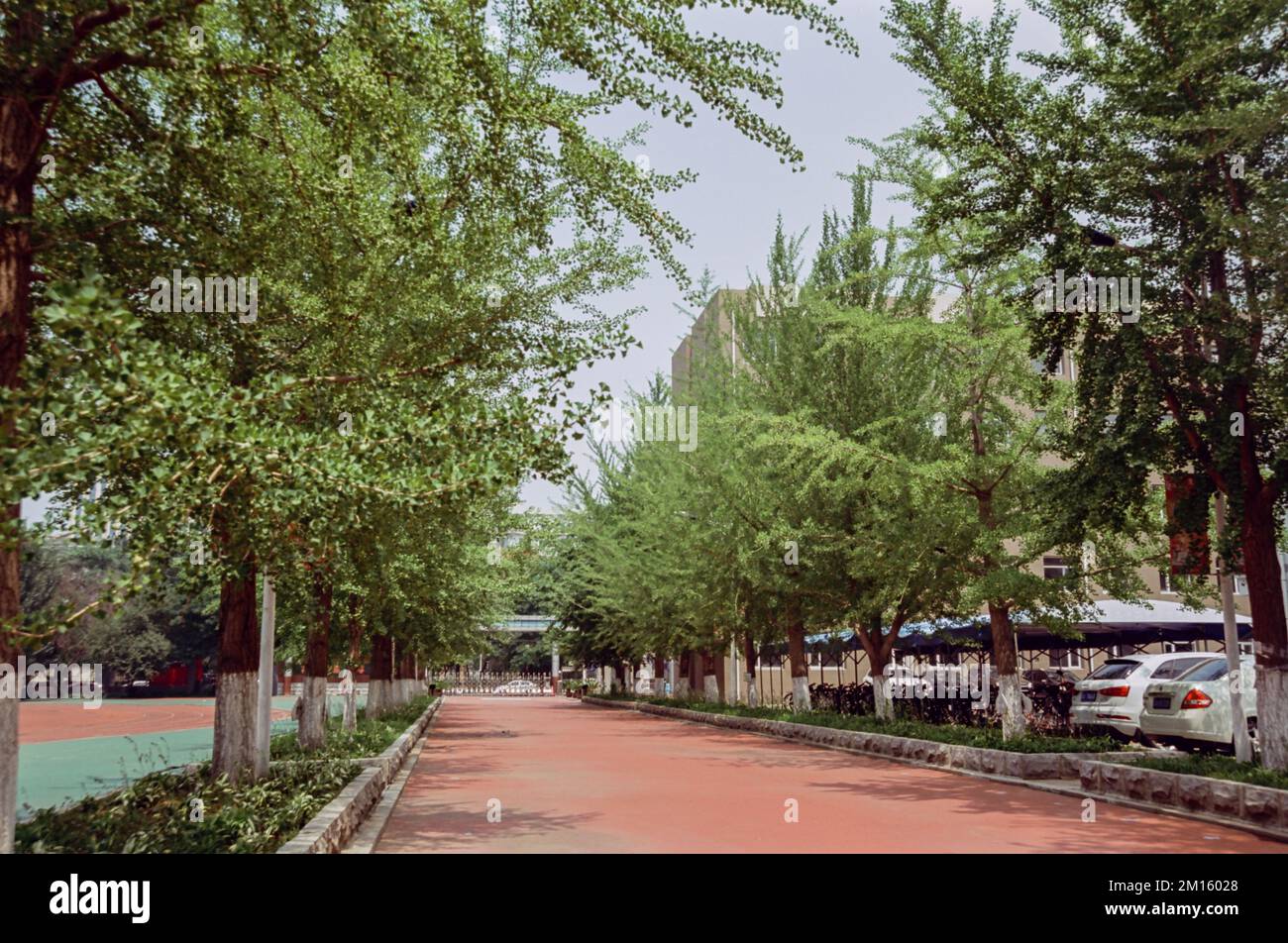 Walking through parking lot hi-res stock photography and images - Alamy