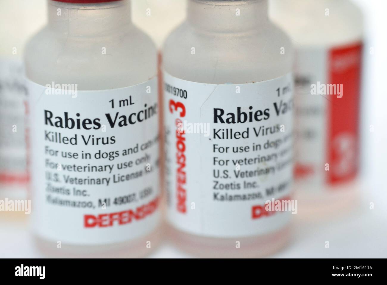 Cairo, Egypt, December 8 2022: Rabis vaccine killed virus for use of ...
