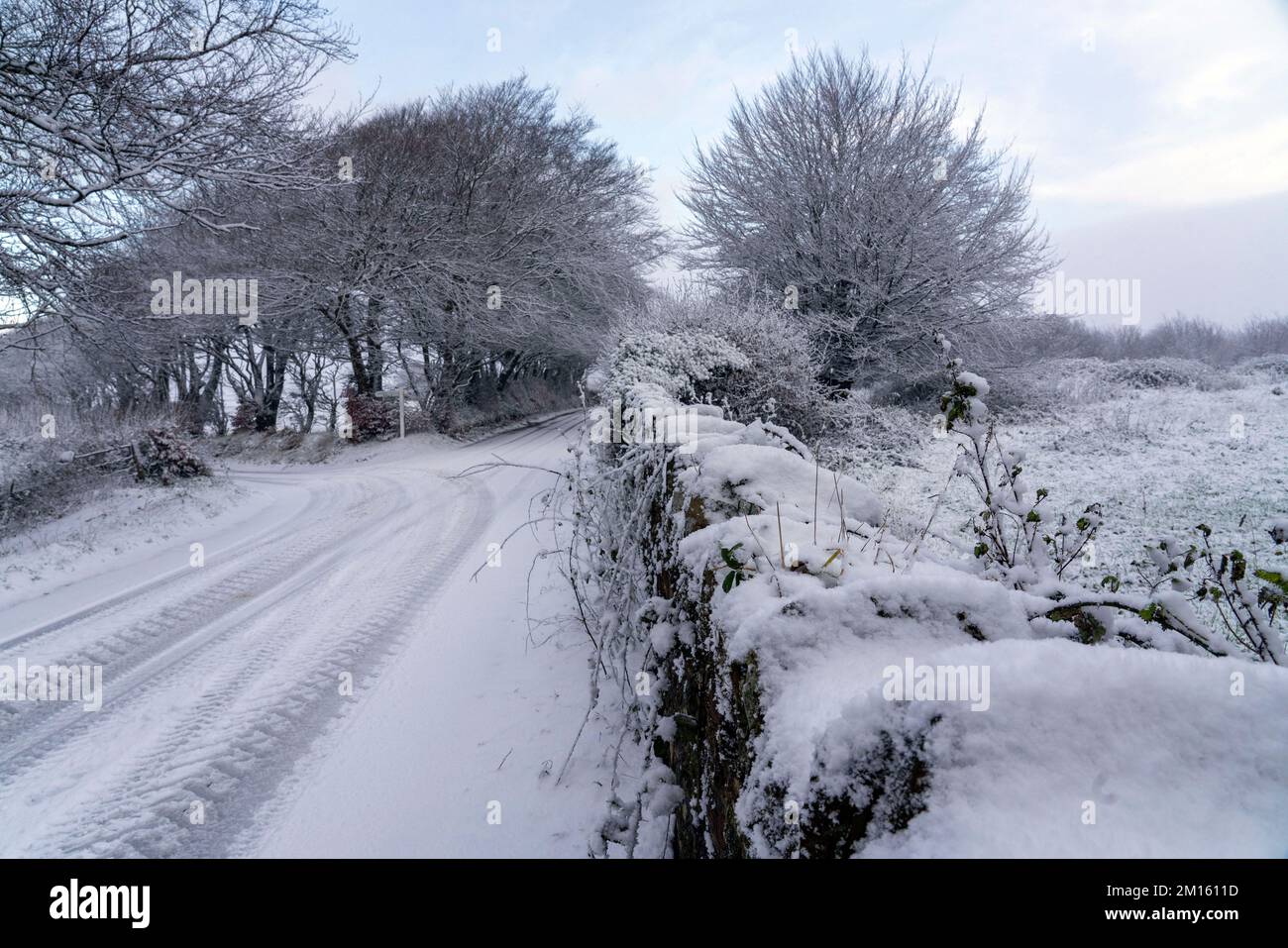 North Devon, UK. 10th Dec, 2022. Snow took North Devon residents by ...