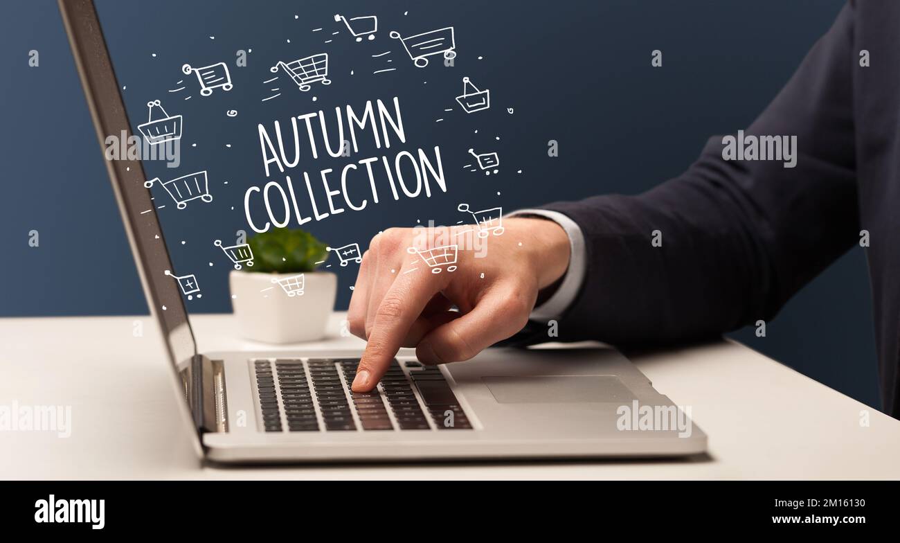 Businessman working on laptop, e-commerce concept Stock Photo - Alamy