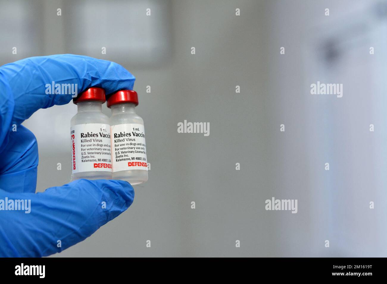 Cairo, Egypt, December 8 2022: Rabis vaccine killed virus for use of ...