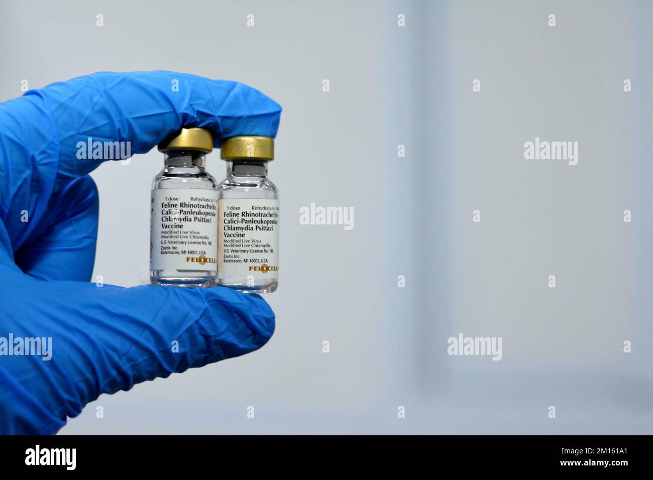 Cairo, Egypt, December 8 2022: Felocell 4, modified live attenuated ...