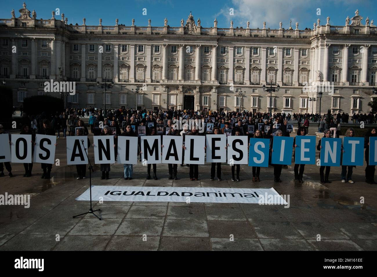 Madrid, Spain. 10th Dec, 2022. Protesters hold placard saying 'Animals ...