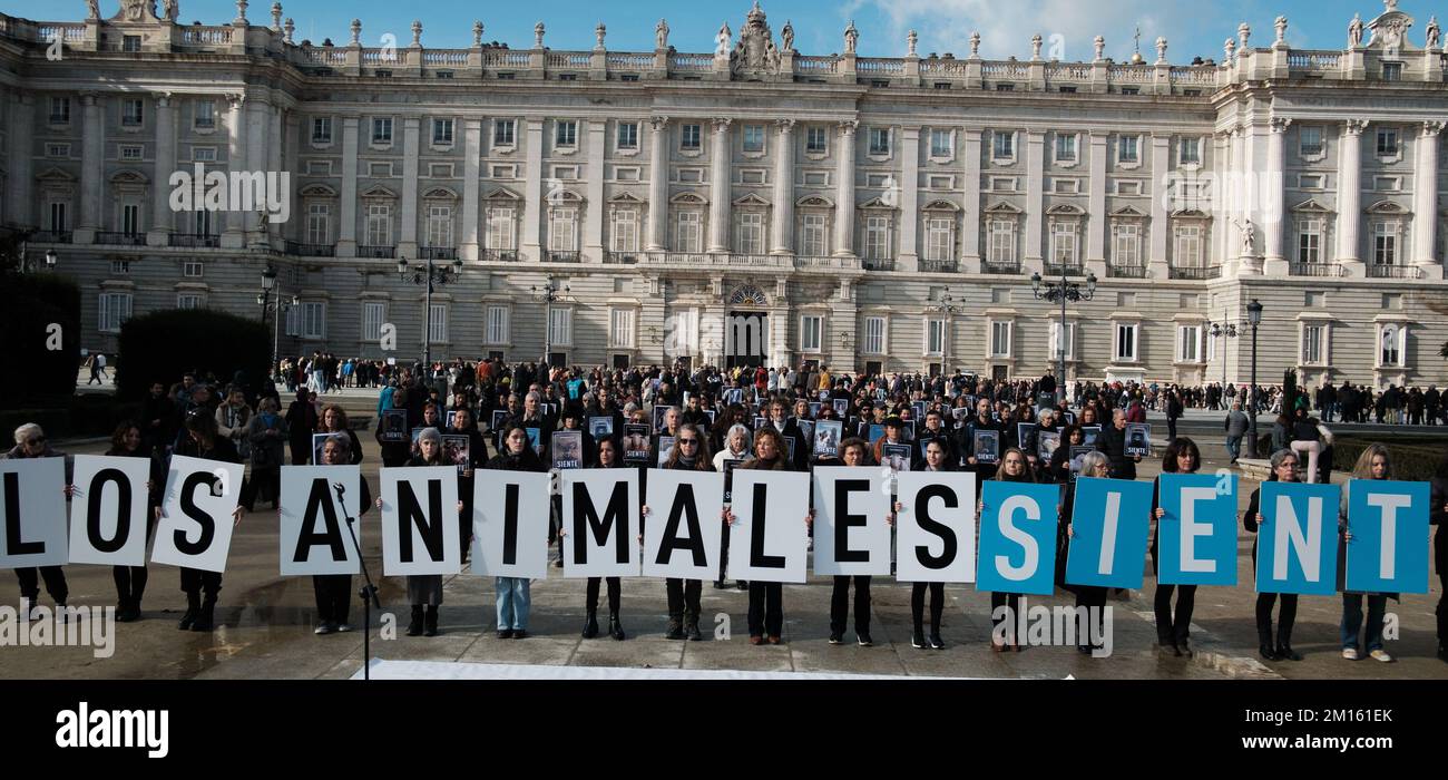 Madrid, Spain. 10th Dec, 2022. Protesters hold placard saying 'Animals ...