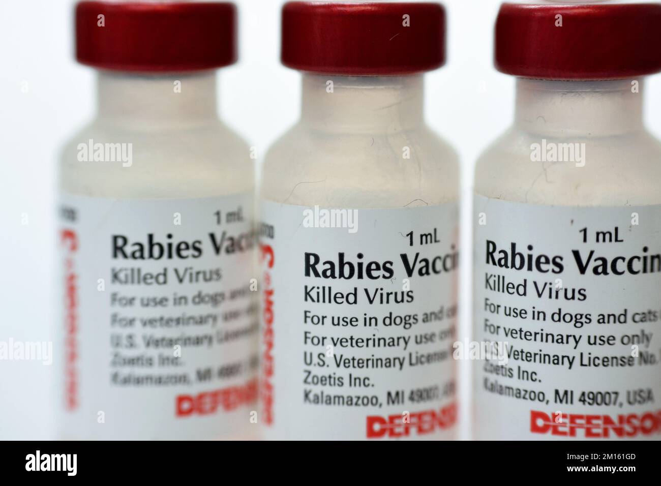 Cairo, Egypt, December 8 2022: Rabis vaccine killed virus for use of ...