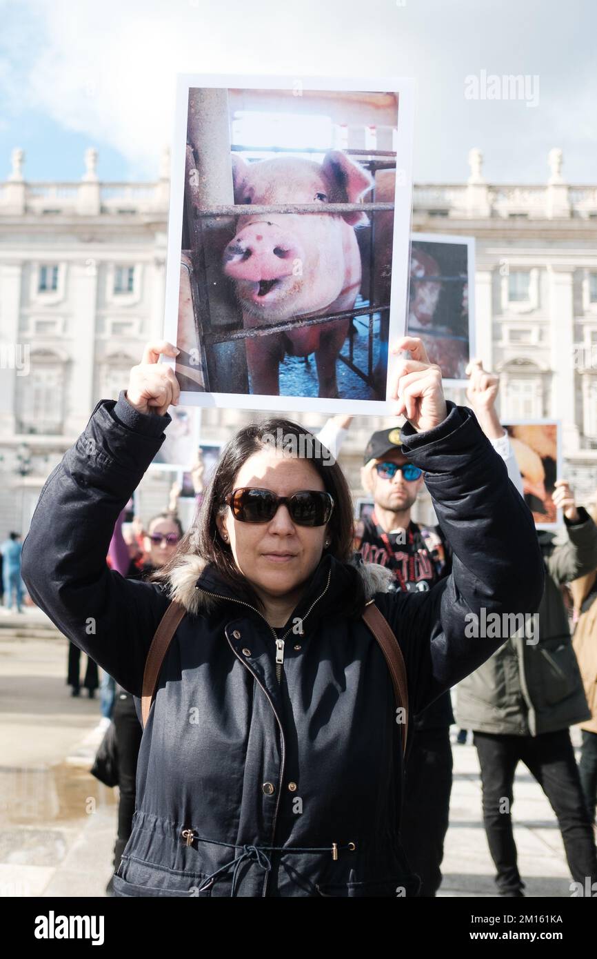 Madrid, Spain. 10th Dec, 2022. A protester holds a photograph of a pig ...