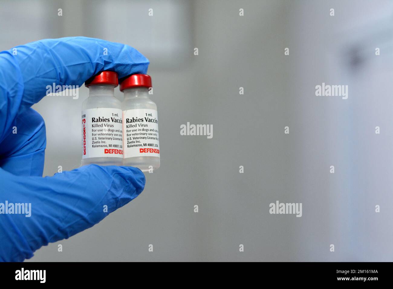 Cairo, Egypt, December 8 2022: Rabis vaccine killed virus for use of ...