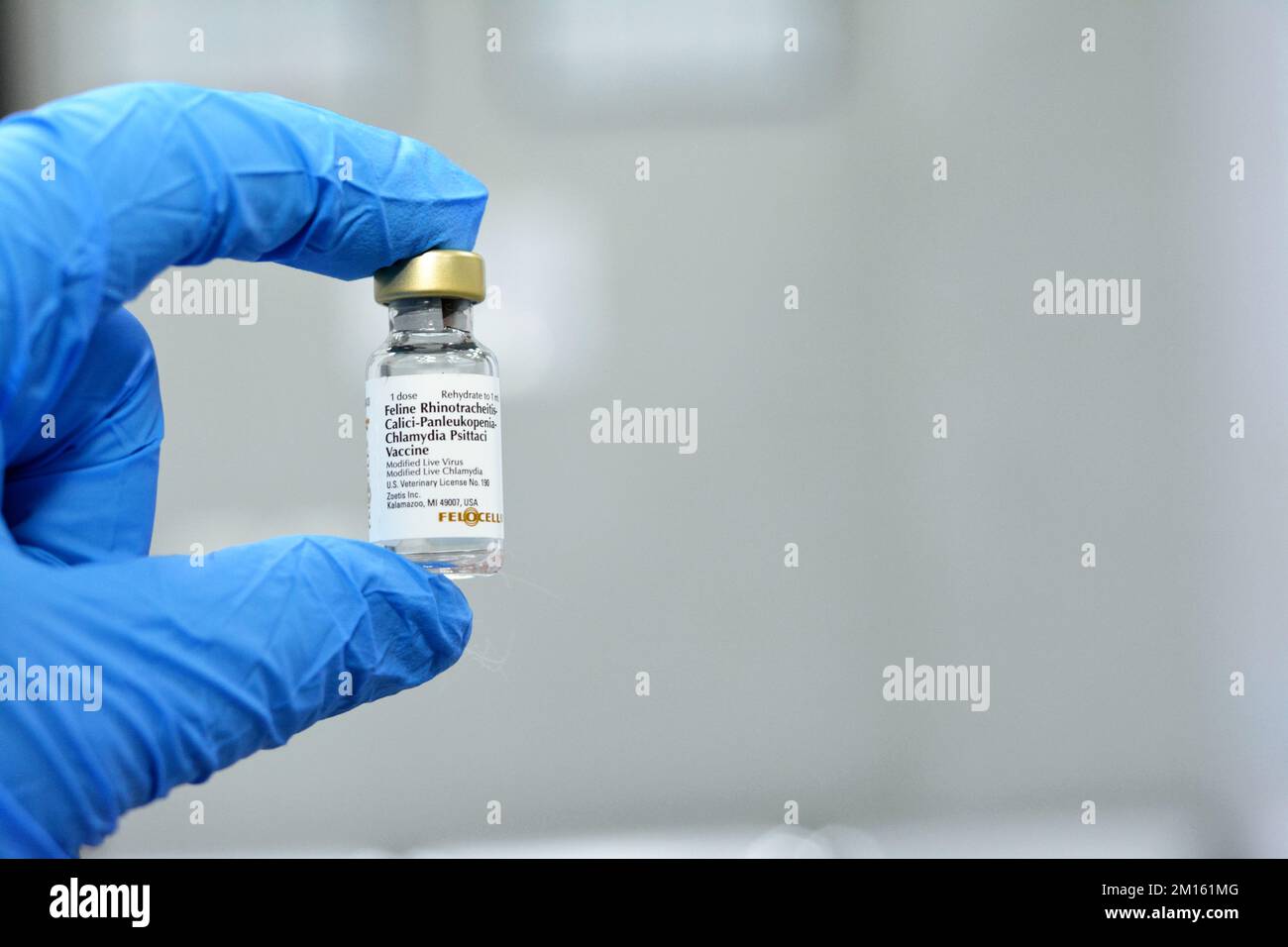 Cairo, Egypt, December 8 2022: Felocell 4, modified live attenuated ...