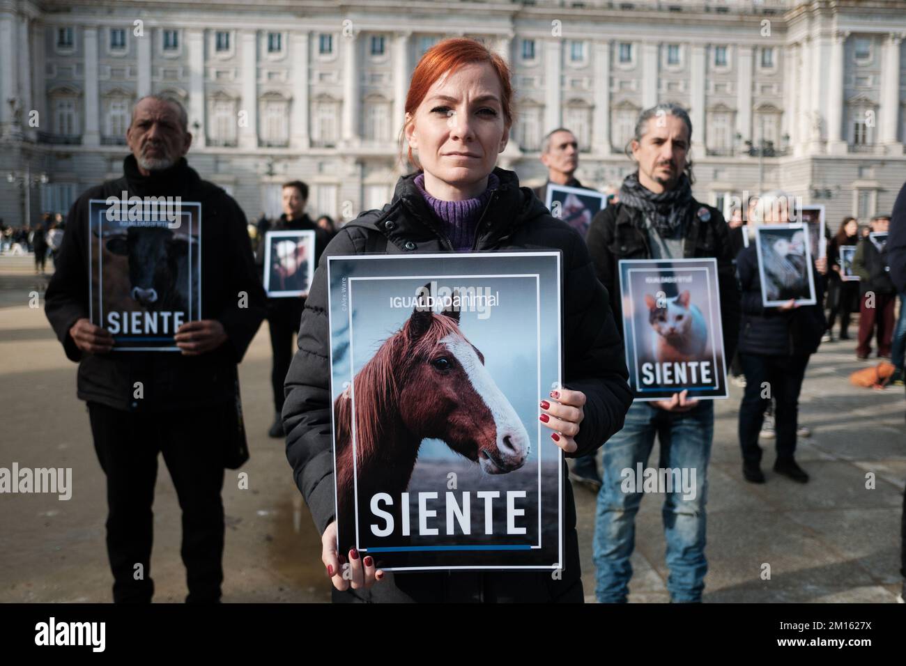 Madrid, Spain. 10th Dec, 2022. Protesters hold photographs of animals ...