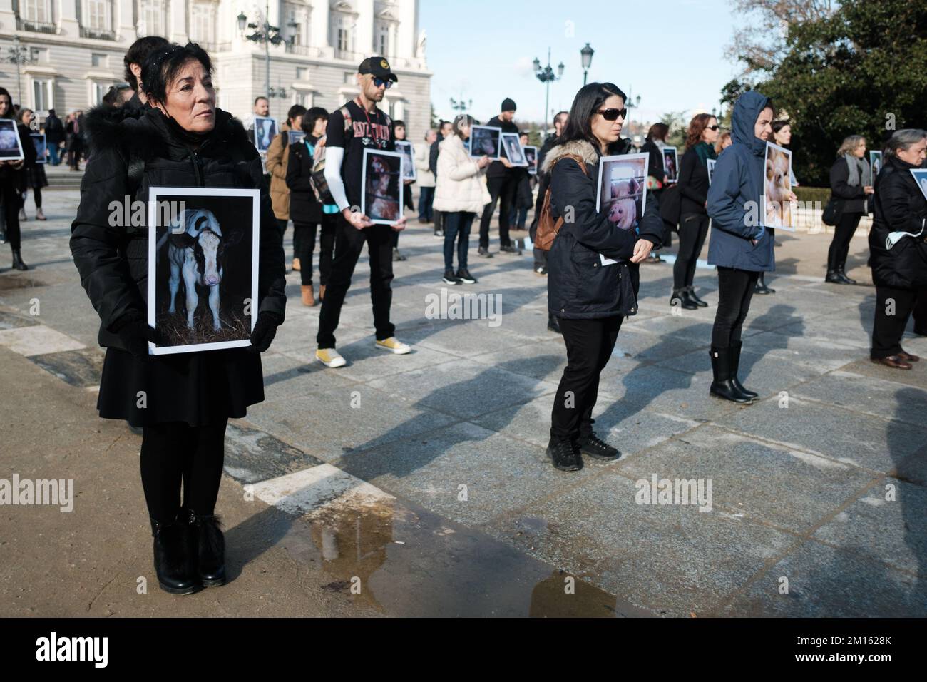 Madrid, Spain. 10th Dec, 2022. Protesters hold photographs of animals ...