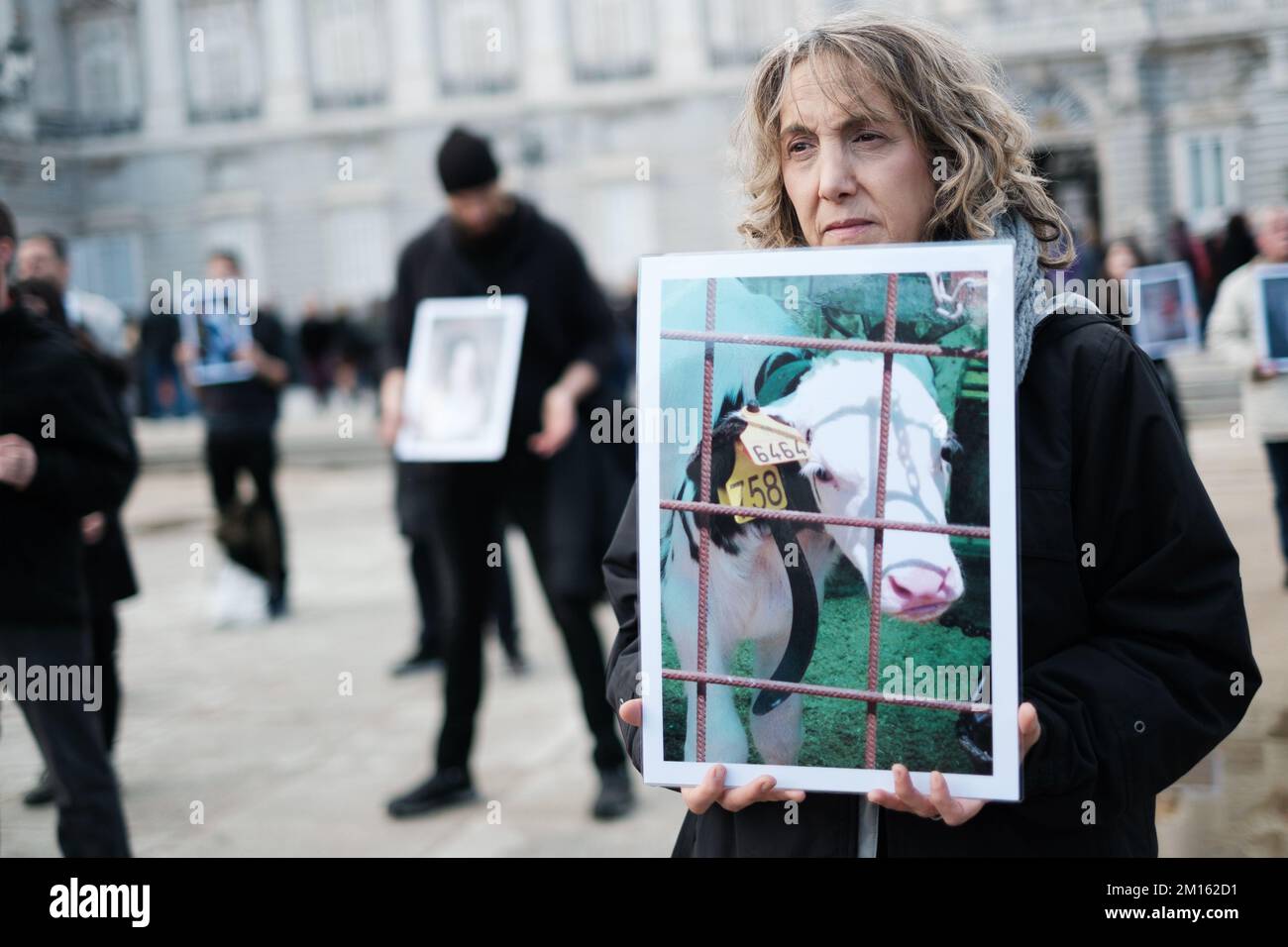 Madrid, Spain. 10th Dec, 2022. Protesters hold photographs of animals ...