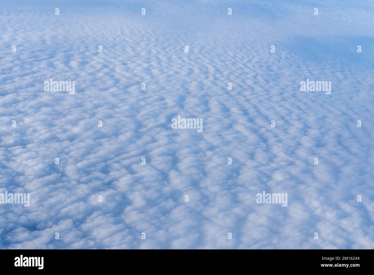 Background of a pink white heavenly sky with fluffy dense clouds, top ...