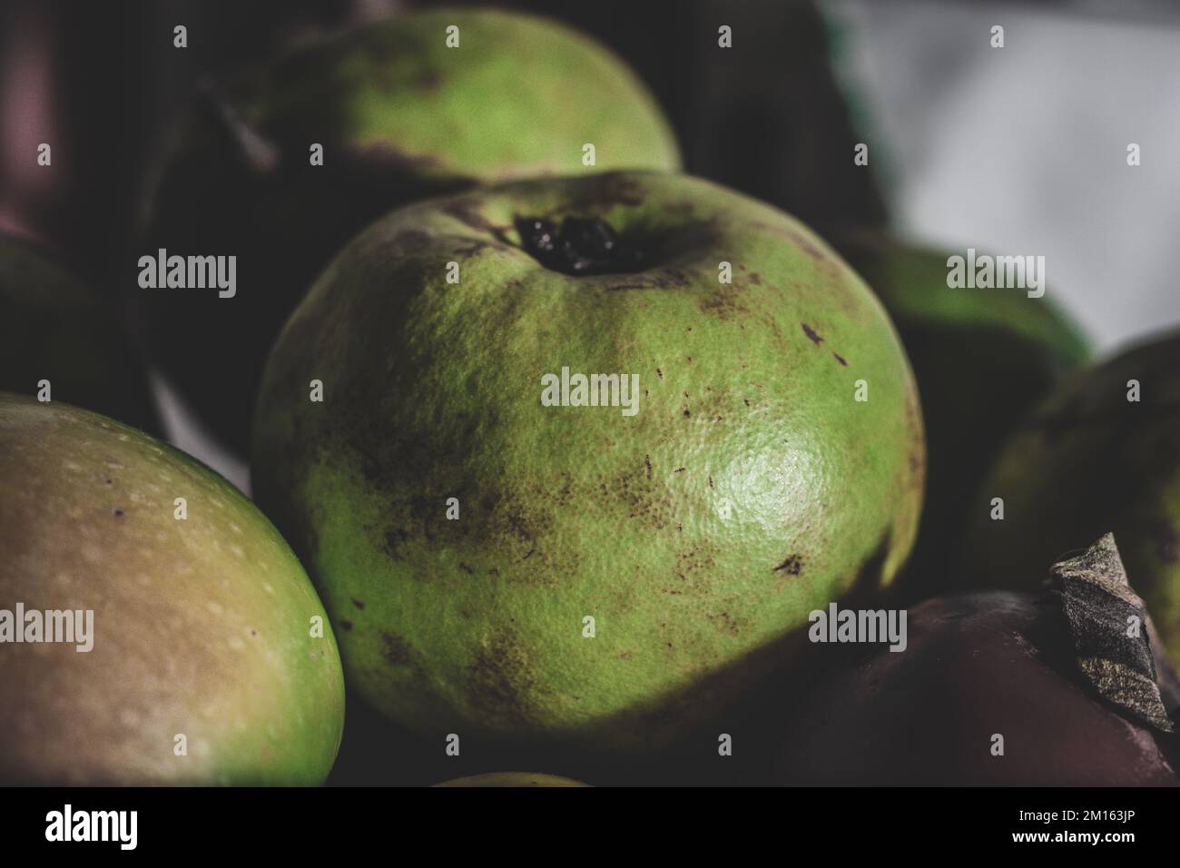 Goldcrest fruit hi-res stock photography and images - Alamy