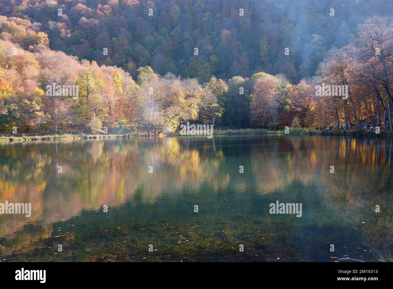 Autumn at mountain lake Gosh, with trees in the background full of ...