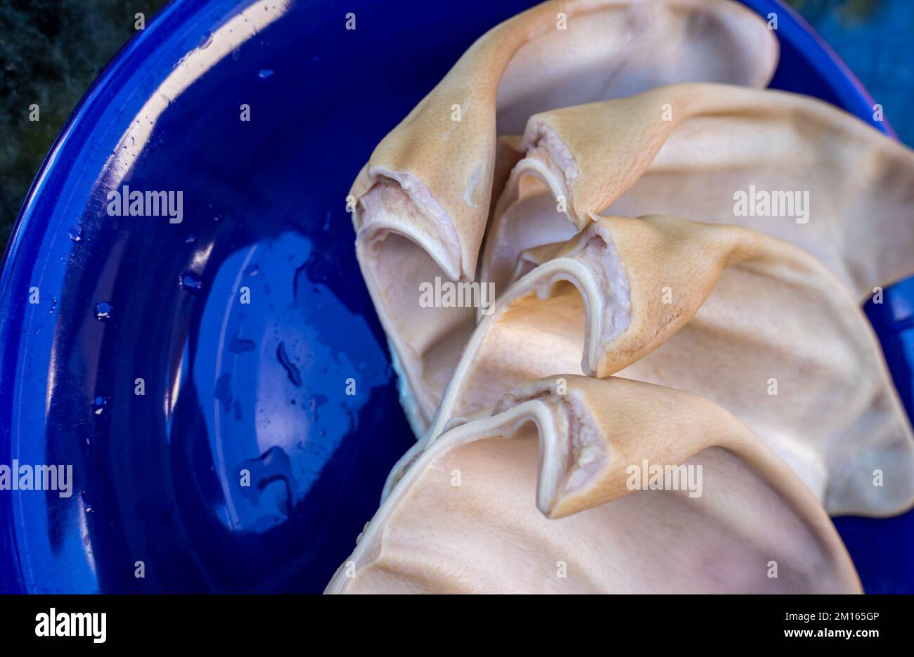 Cooked pork ears. Vietnamese cuisine traditionally includes pork parts ...