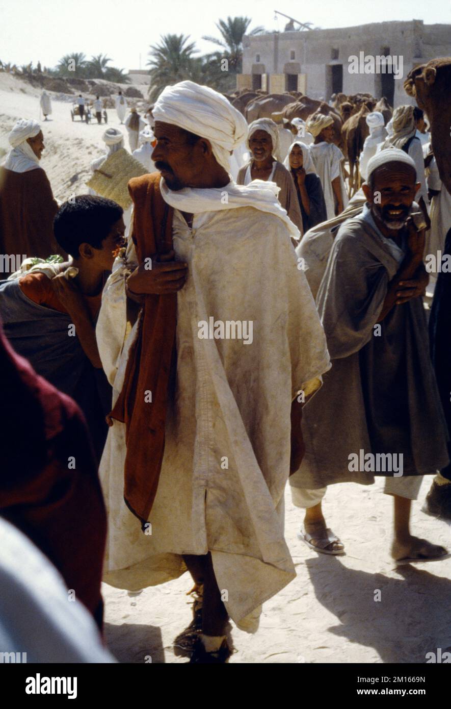 Algerian men hi-res stock photography and images - Alamy