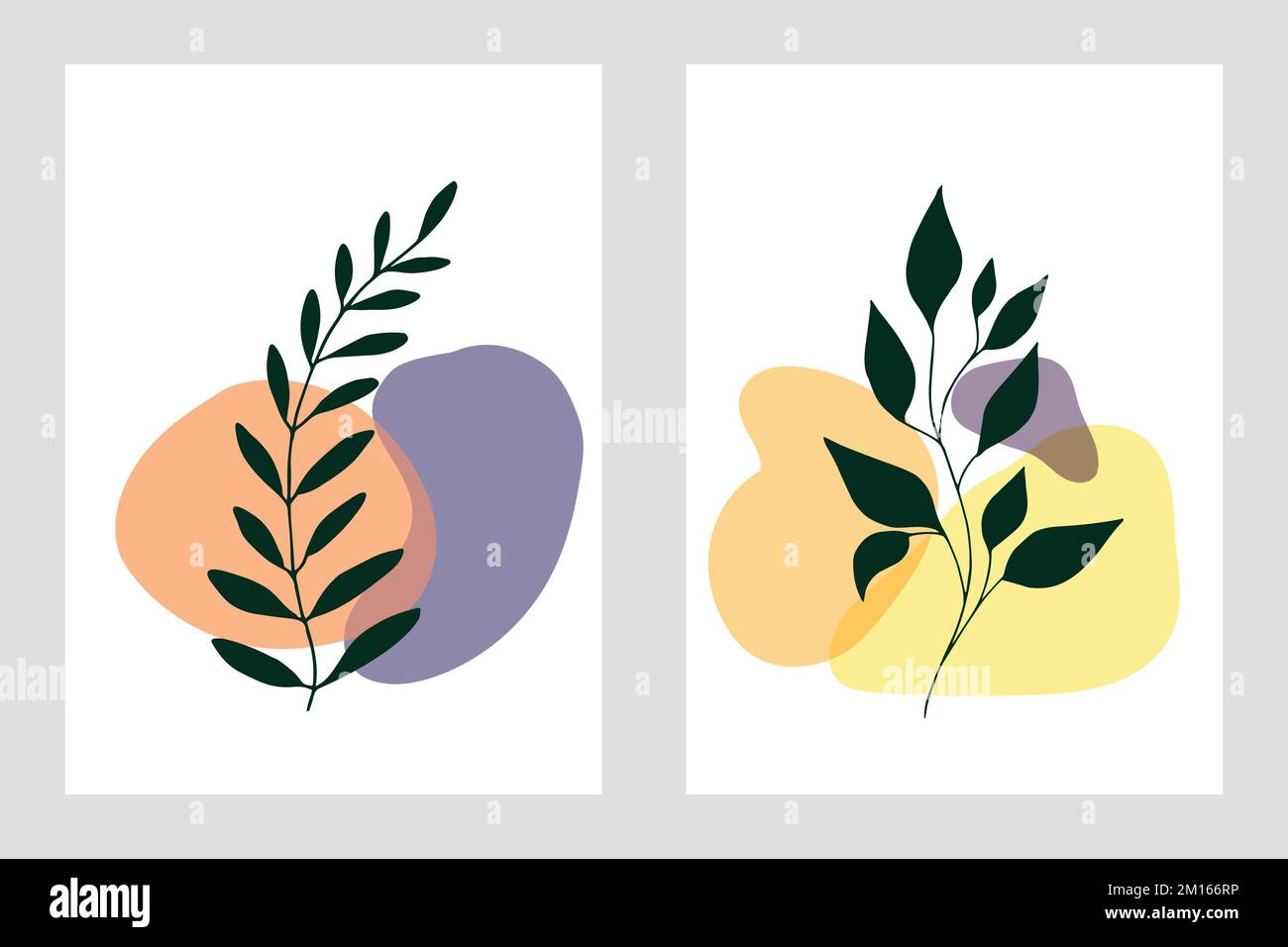 Abstract background with plants and hand drawn shapes. Hand drawn ...