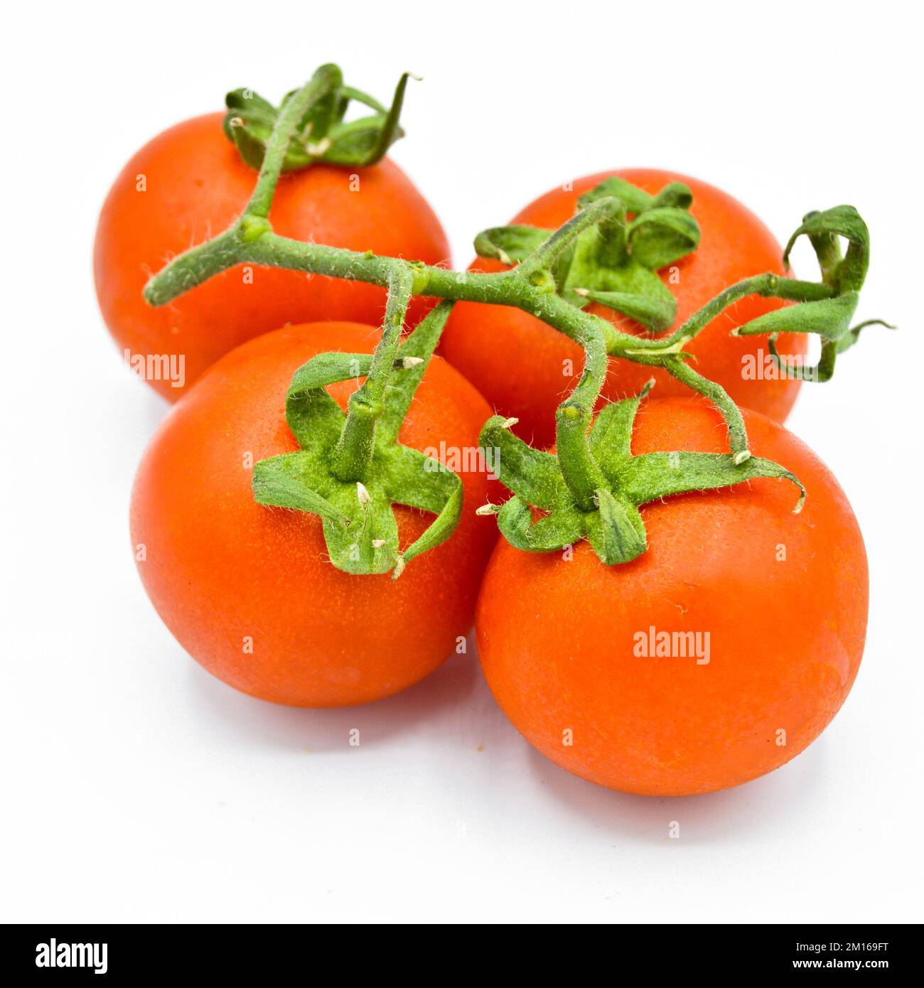 Fresh, tasty, tomato, all organic tomato, fresh organic tomato ...
