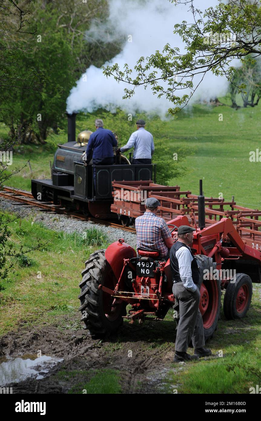 "Winifred" between Dolfawr and Pentrepiod Halt with a train of slate ...