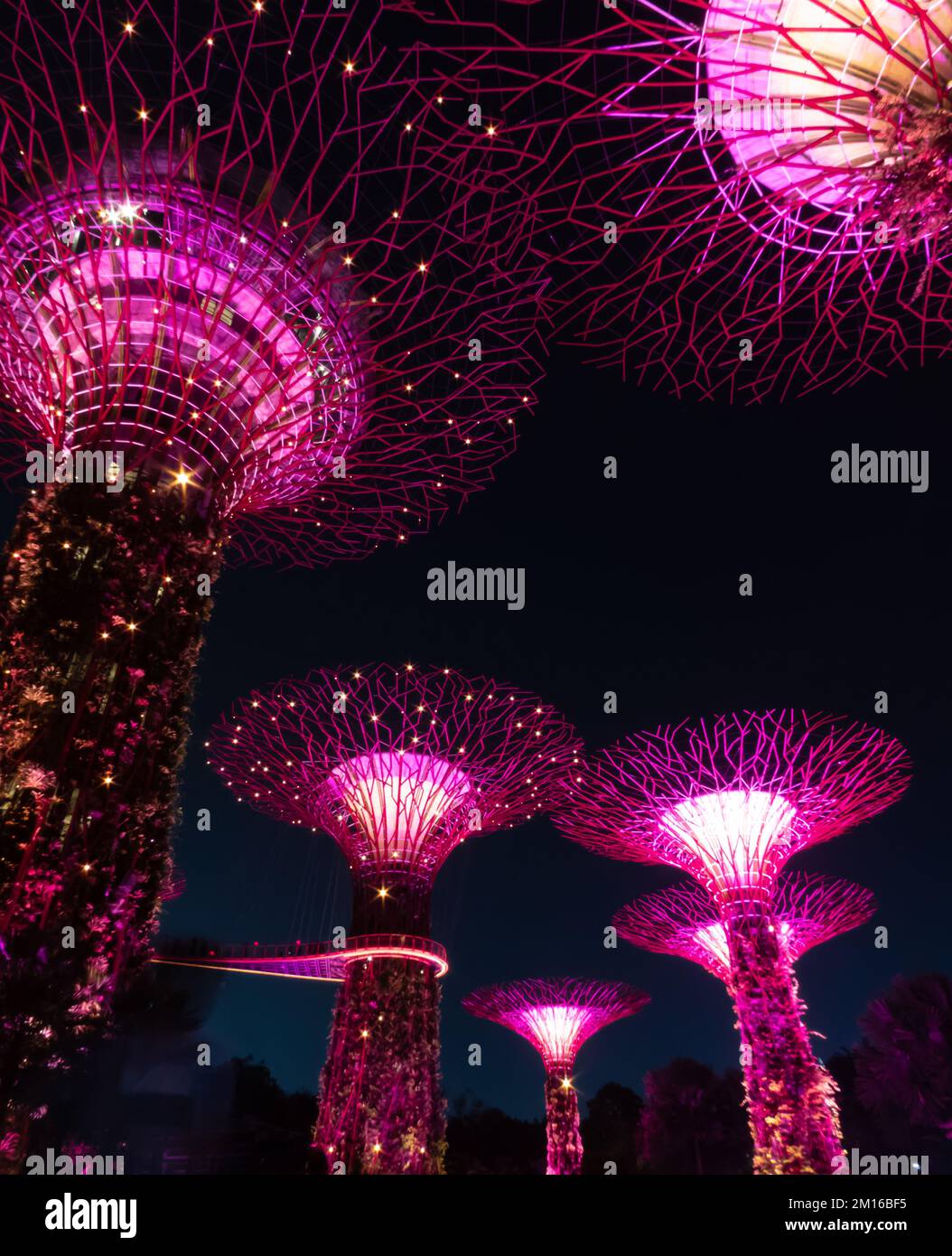 A vertical low angle shot of the illuminated pink Supertree Grove in ...