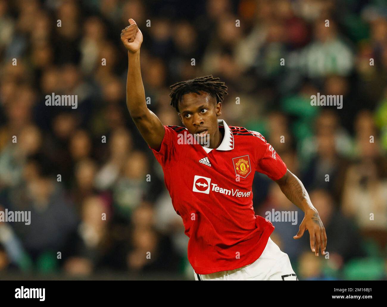 Noam emeran hi-res stock photography and images - Alamy