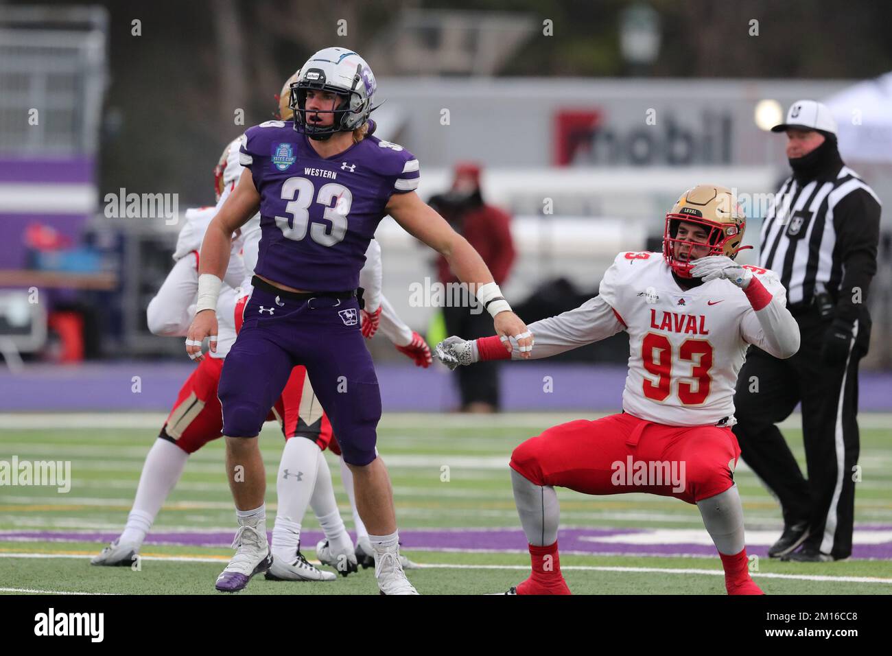 Riley macleod hi-res stock photography and images - Alamy