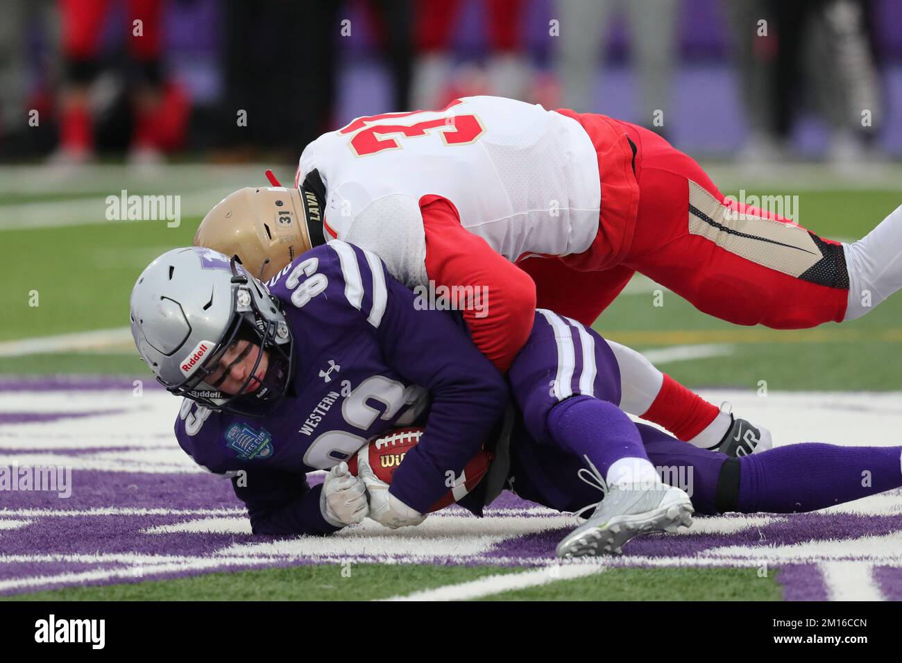 Westerrn mustangs hi-res stock photography and images - Alamy