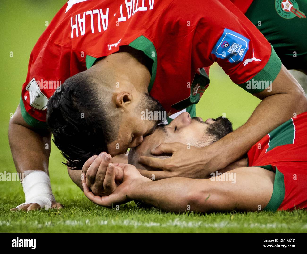 Atlasleeuwen hi-res stock photography and images - Alamy