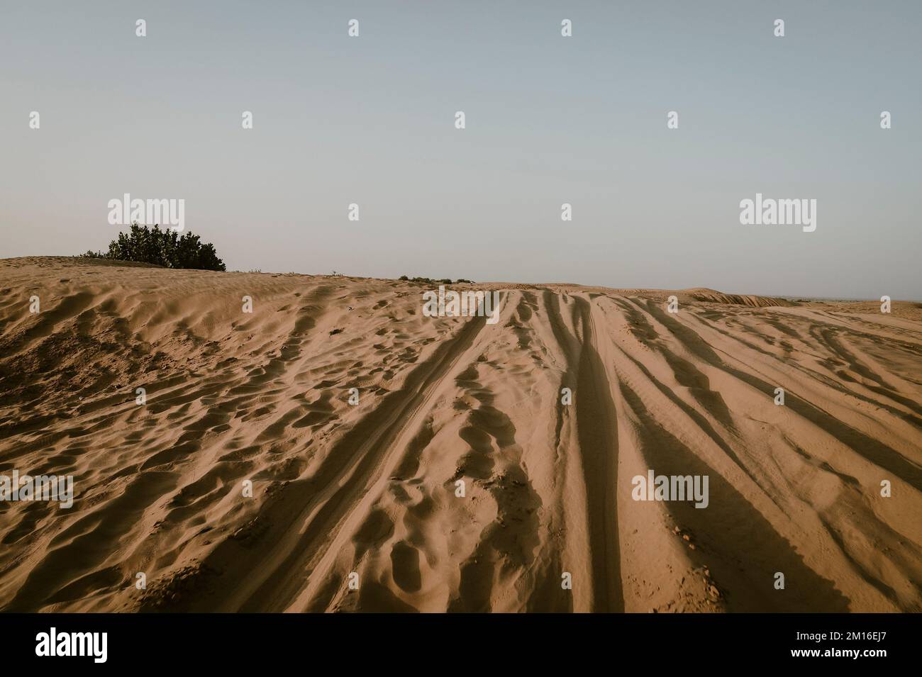 Car tyre marks on sand dunes of Thar desert, Rajasthan, India. Tourists ...