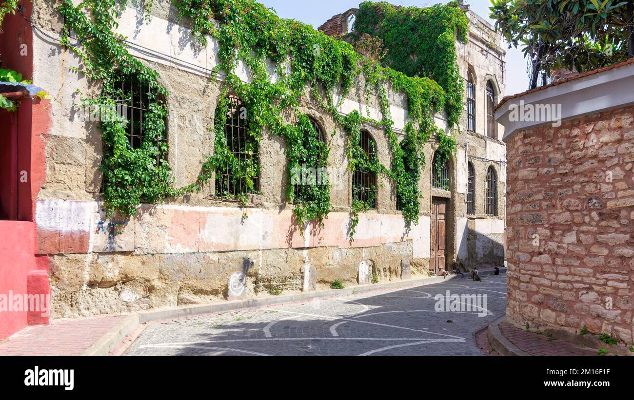 Exterior of old abandoned building, with weathered stone wall, and wrought iron windows, covered ...