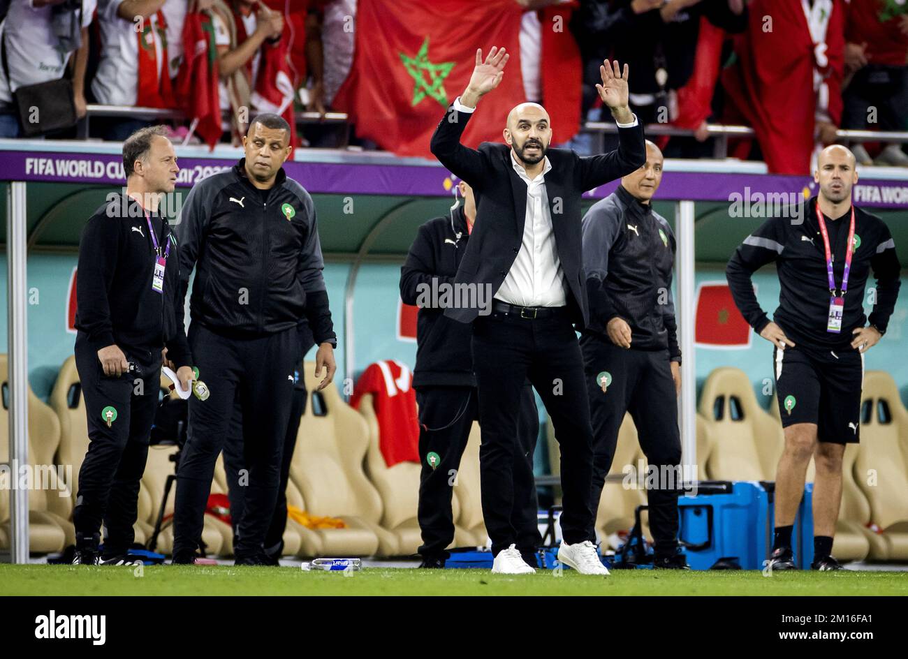 DOHA - Morocco coach Walid Regragui during the FIFA World Cup Qatar ...
