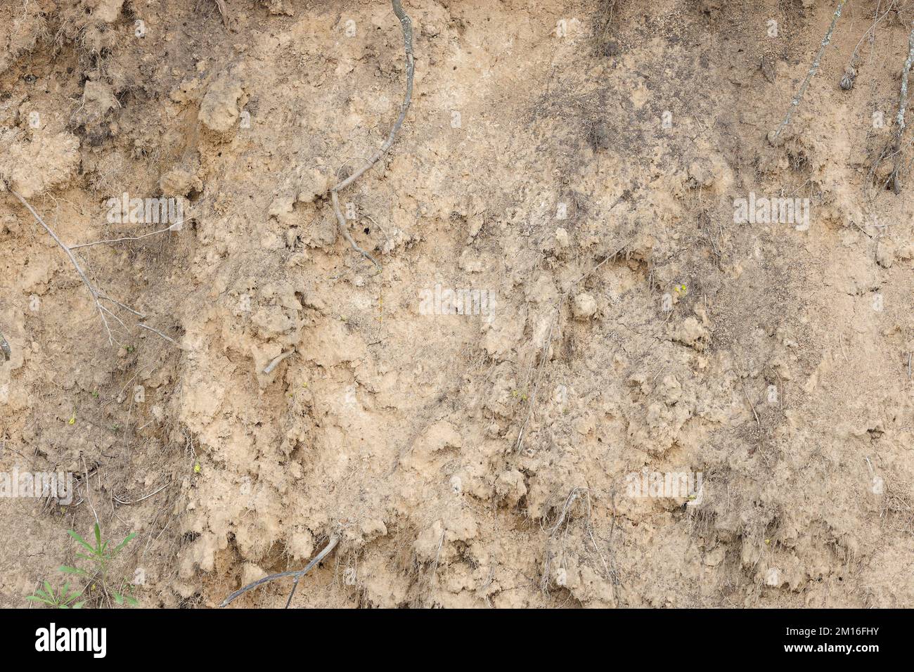 Abrupt bank of a river showing layers of plants, soil, sand, clay and ...