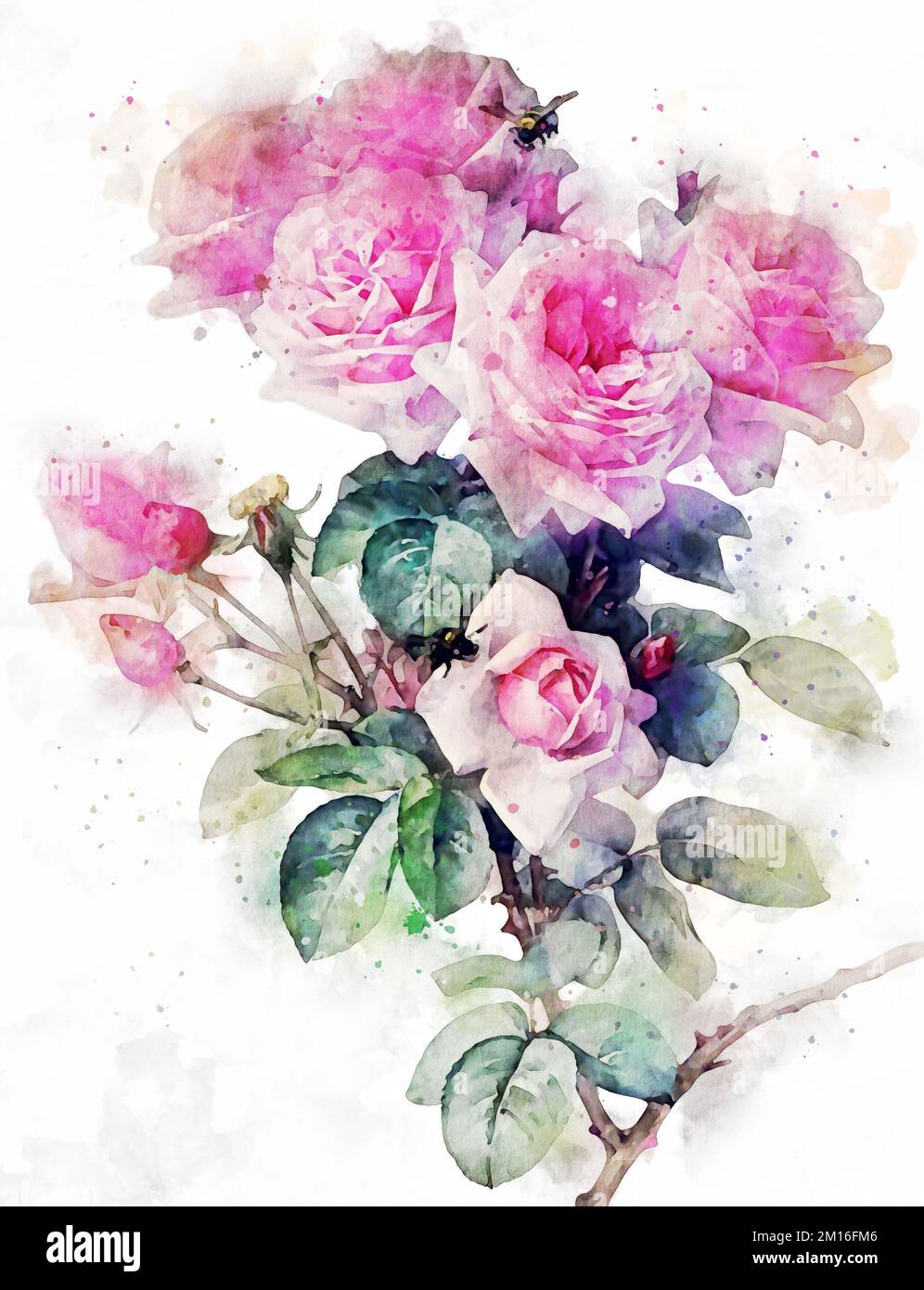 Watercolor Flower Illustration Stock Photo - Alamy