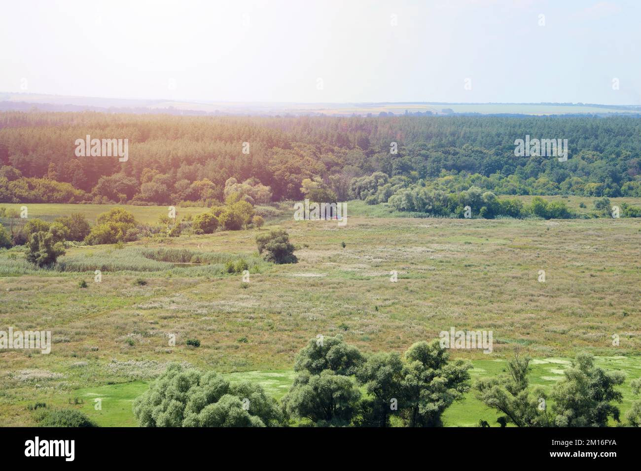 Sunny spring morning on meadow with trees. Scenic rural landscape ...