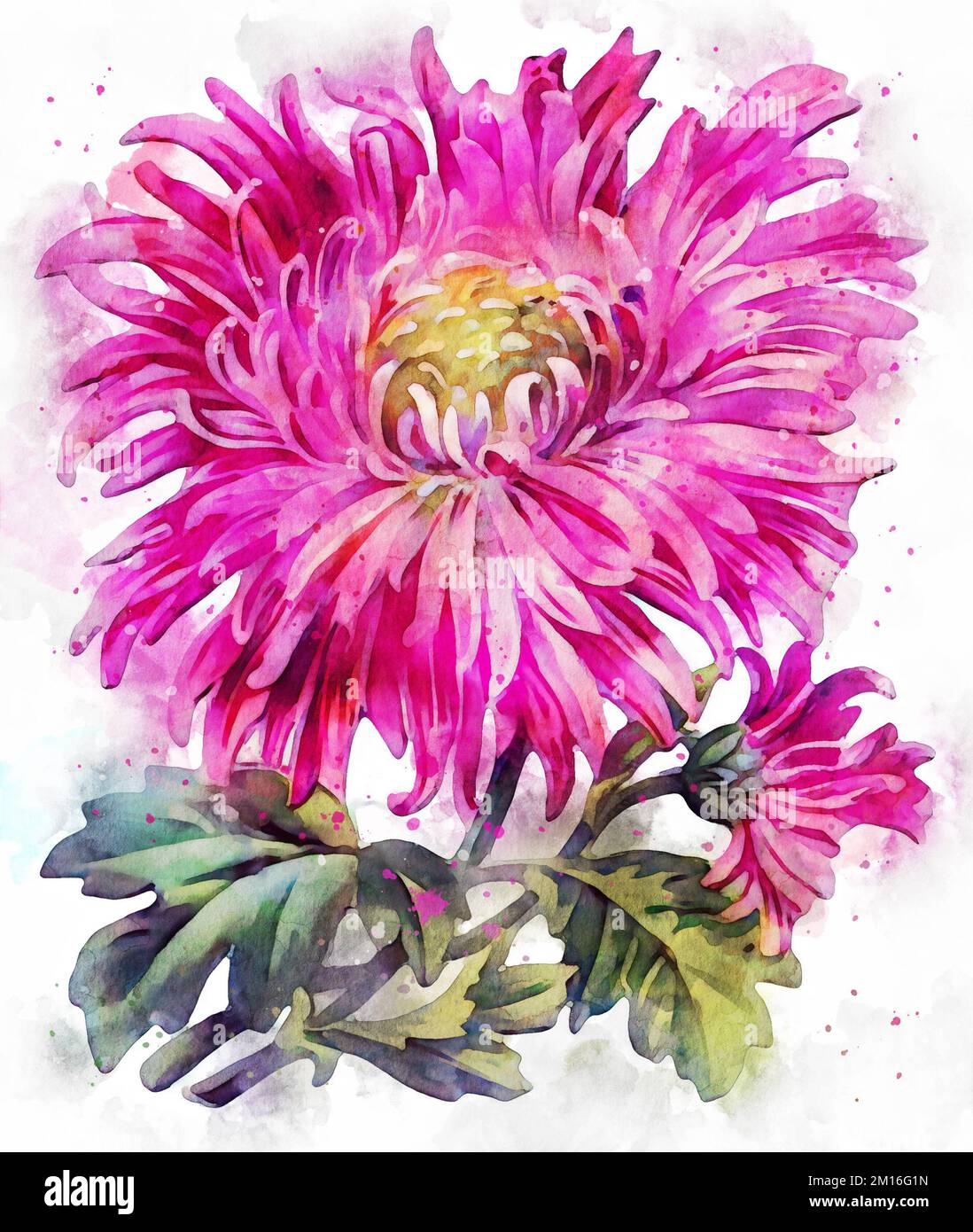 Watercolor Flower Illustration Stock Photo - Alamy